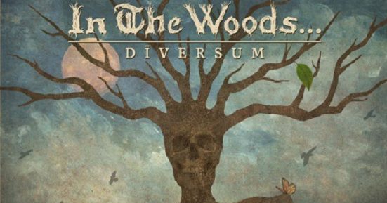 THE VOID JOURNAL | Стрийм: In The Woods… : Diversum