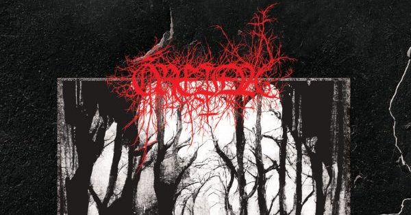 THE VOID JOURNAL | ÓREIĐA представя сингъла “The Eternal”