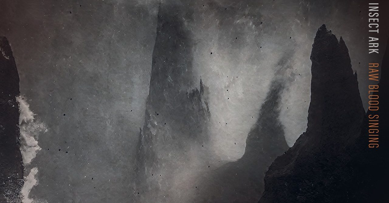 THE VOID JOURNAL | Чуйте “Raw Blood Singing”, новият албум на INSECT ARK