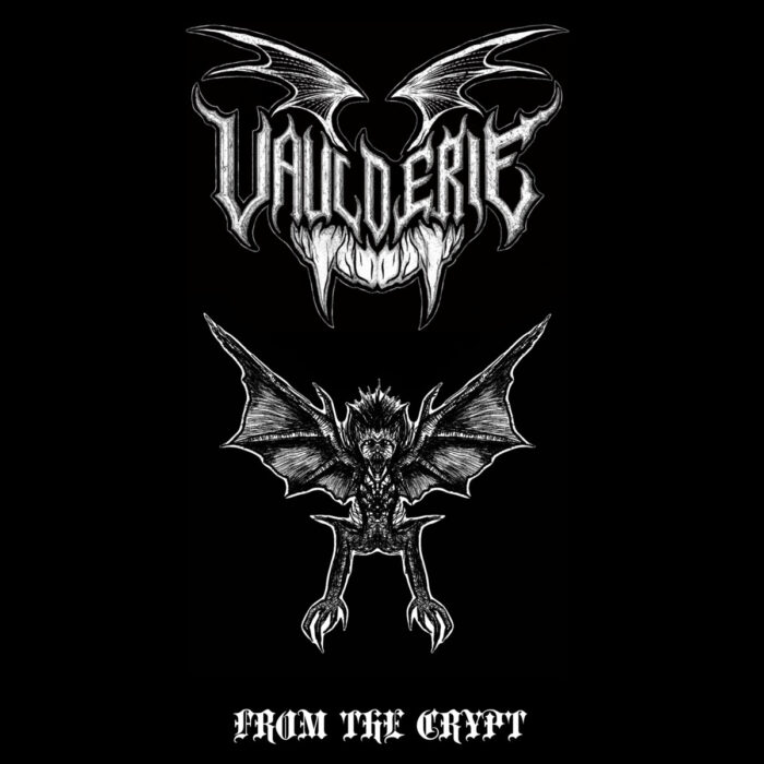 THE VOID JOURNAL | Vaulderie unveil another glimpse into their ...